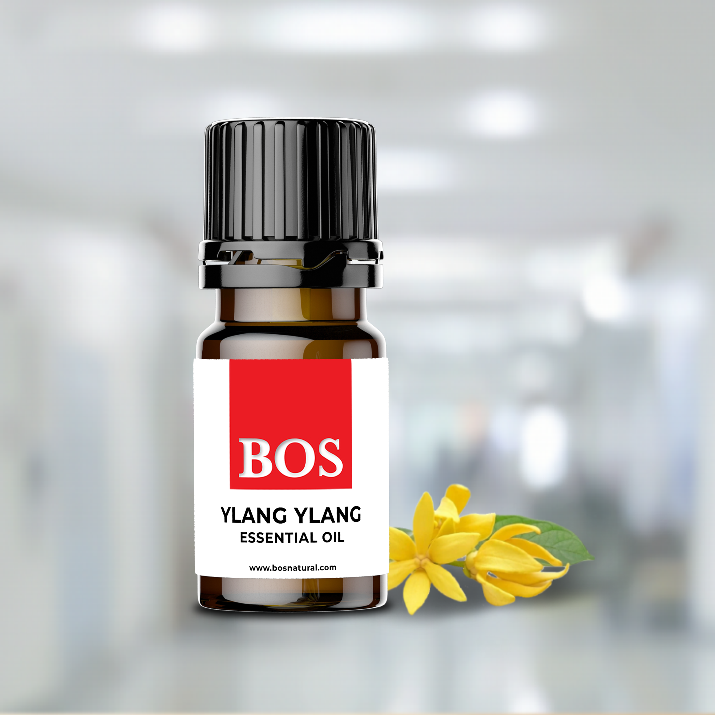 Ylang Ylang Essential Oil (30g) - BOS Natural Flavors